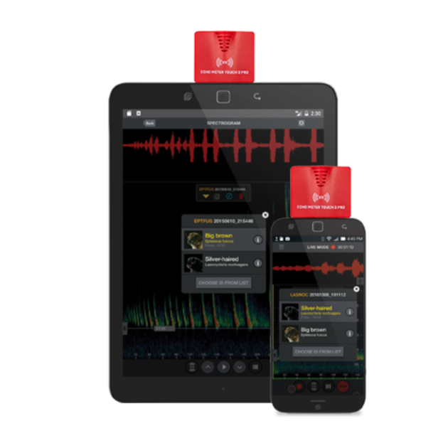 Echo Meter Touch 2 PRO Active Bat Detector | Faunatech